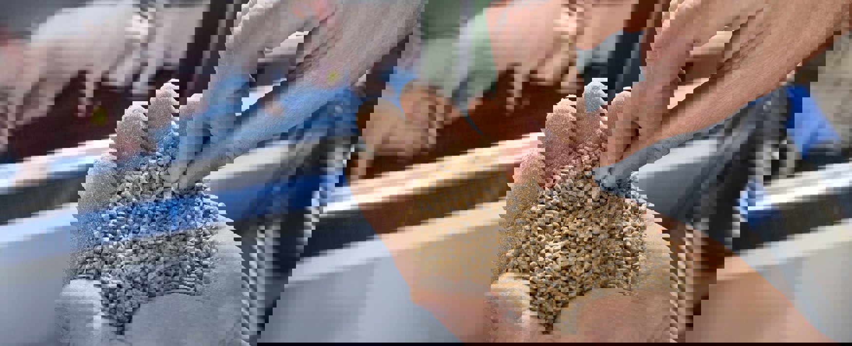 Futterkonservierung bei Ferkeln - TN Germany