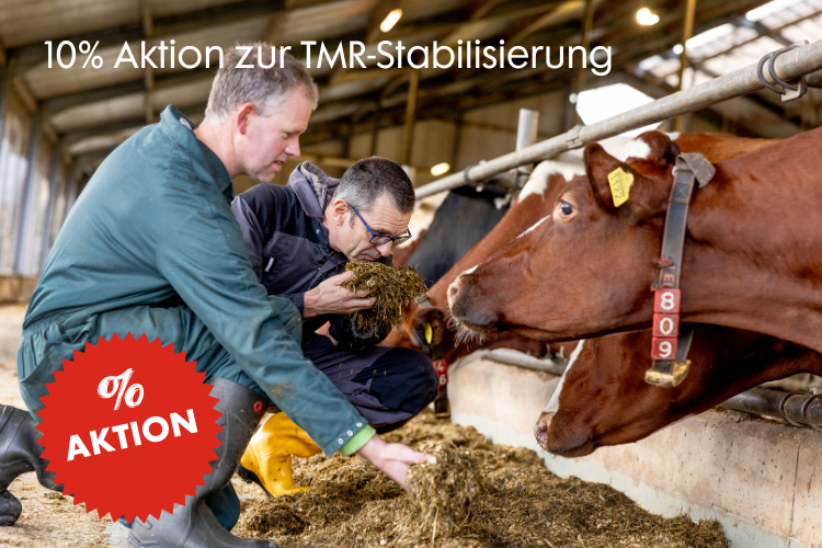 TMR Aktion 2025 - TN Germany